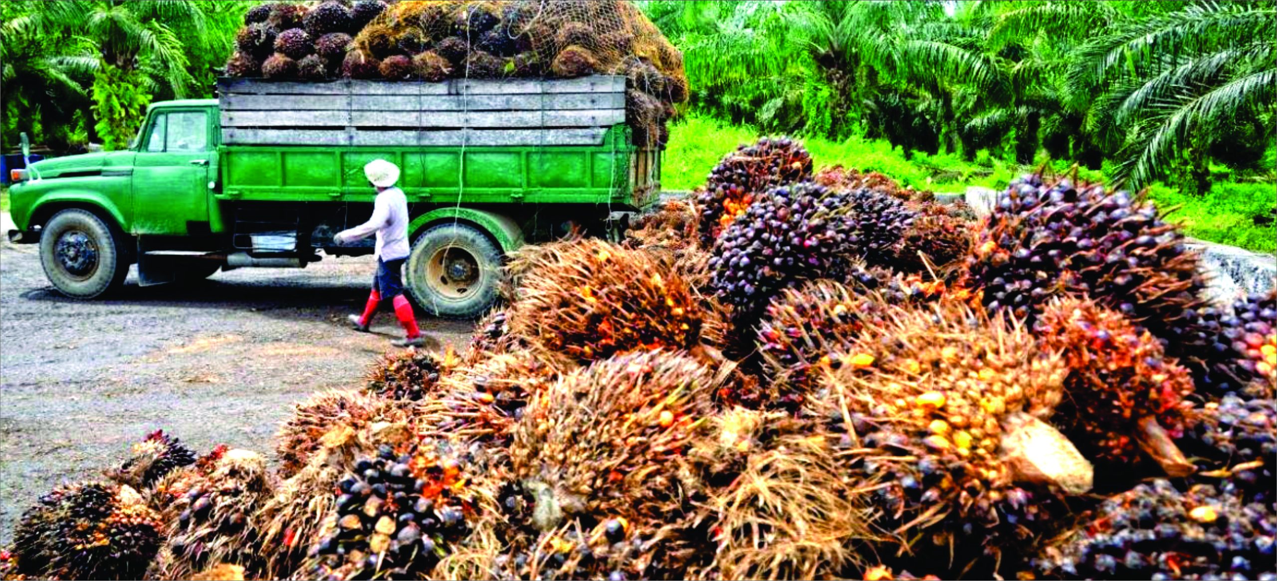 DELCOM COOP | DELCOM COOP